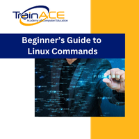 Beginner’s Guide to Linux Commands